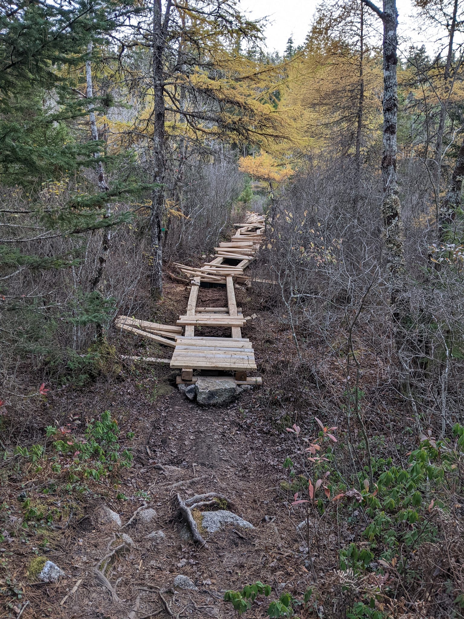 New Boardwalk! – Crowbar Lake Wilderness Association